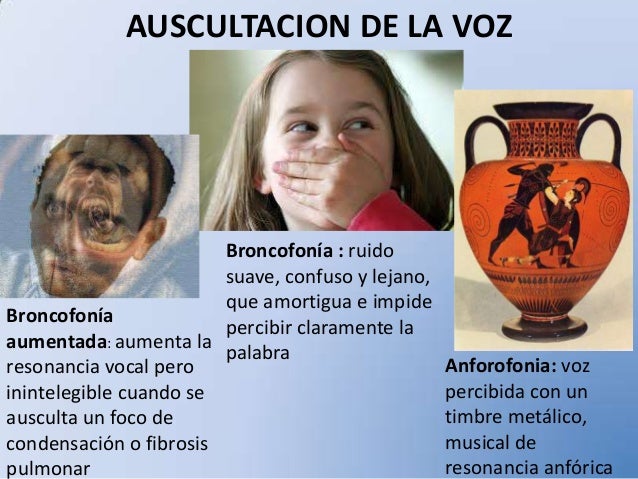 Ex. ap. respiratorio 2