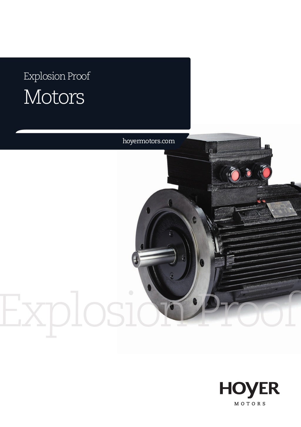 Двигатели взрывозащищенные серии AT Hoyer Motors