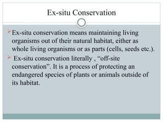 EX-SITU CONSERVATION OF BIODIVERSITY.pptx
