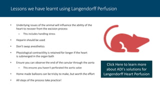 An Introduction to Isolated Langendorff Heart: Experimental ...