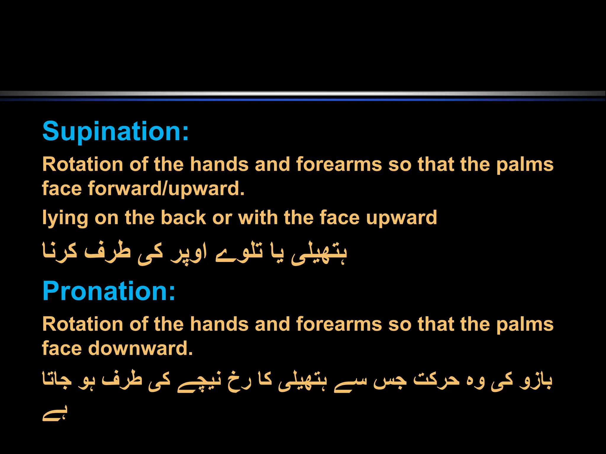 Ex#01 Anatomy of Forelimb of Animals.ppt