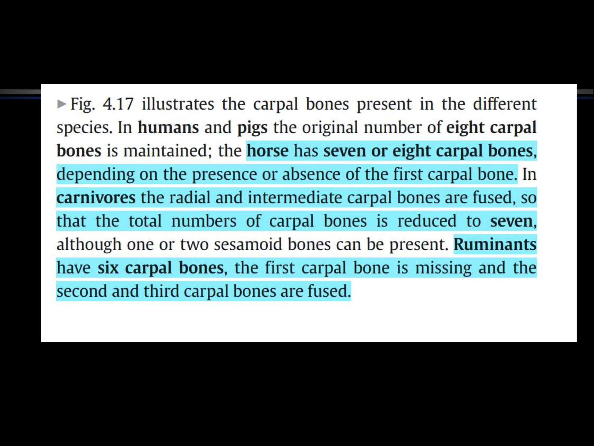 Ex#01 Anatomy of Forelimb of Animals.ppt