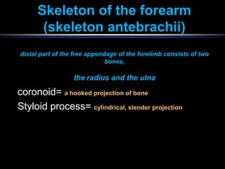 Ex#01 Anatomy of Forelimb of Animals.ppt