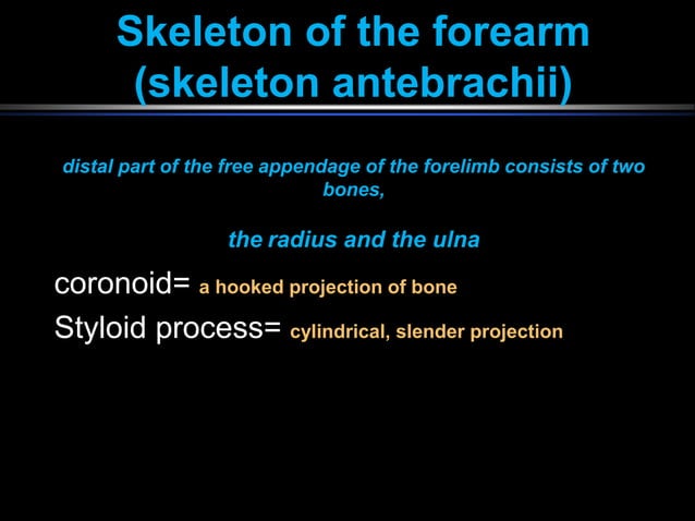 Ex#01 Anatomy of Forelimb of Animals.ppt
