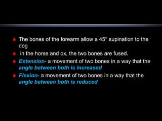 Ex#01 Anatomy of Forelimb of Animals.ppt
