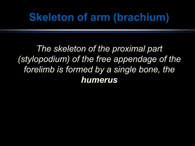 Ex#01 Anatomy of Forelimb of Animals.ppt