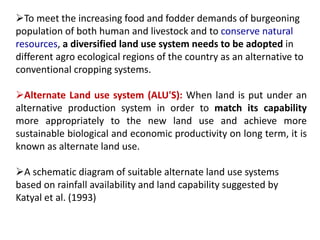 Visit to AICRP on Agroforestry Ex 13.pptx