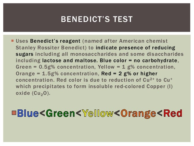 Ex 17 - Digestive physiology (Benedict's test)