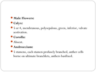 Floral structure of Euporbiaceae | PPT
