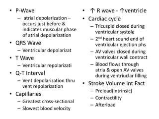 Anatomy & Physiology 2 - Heart & Blood Vessels - Exam 3 | PPT