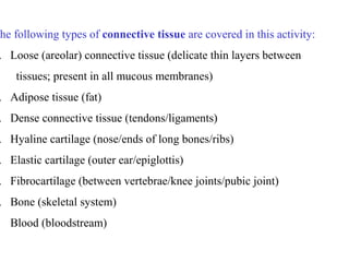Ex 6a connective_tissues | PPT