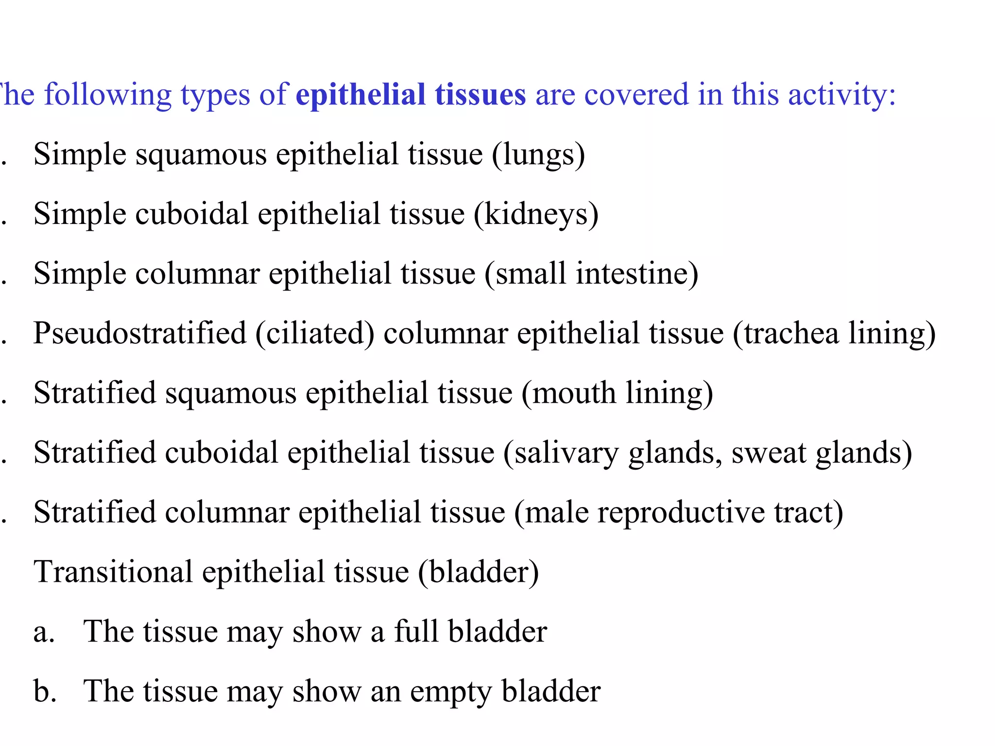 Ex 6a epithelial_tissues | PPT
