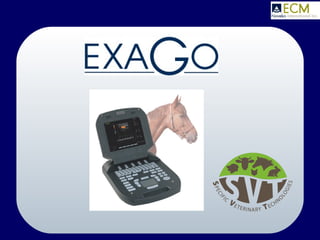 EXAGO presentation | PPT