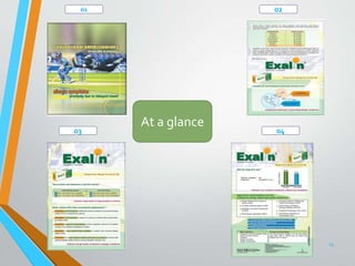 EXALIN Launching Presentation | PPTX