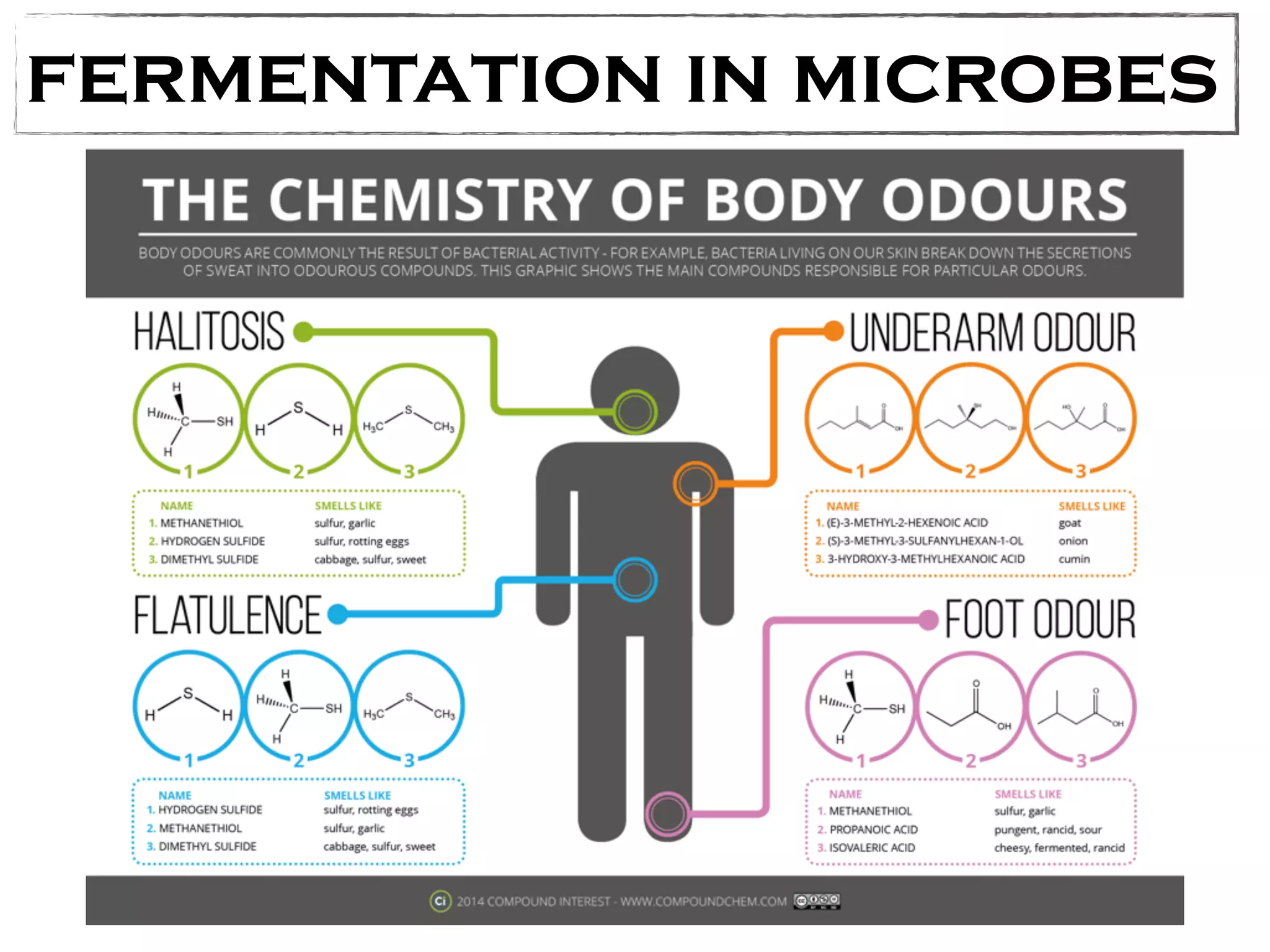 Traditional versus Modern Biotechnology (Exam 2 coverage) | PDF ...
