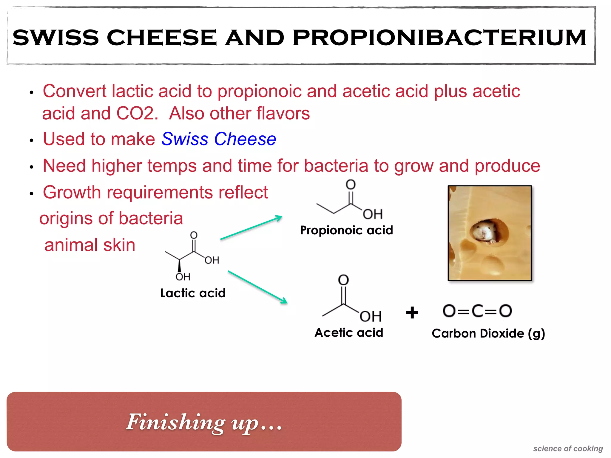 Traditional versus Modern Biotechnology (Exam 2 coverage) | PDF