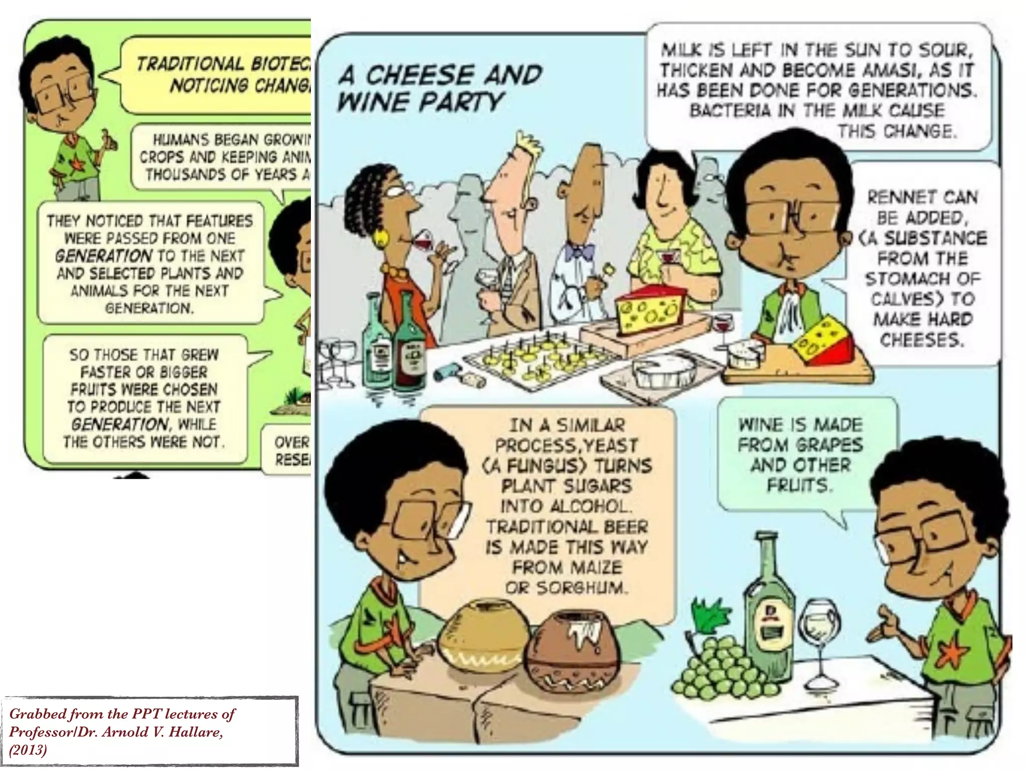 Traditional versus Modern Biotechnology (Exam 2 coverage) | PDF ...