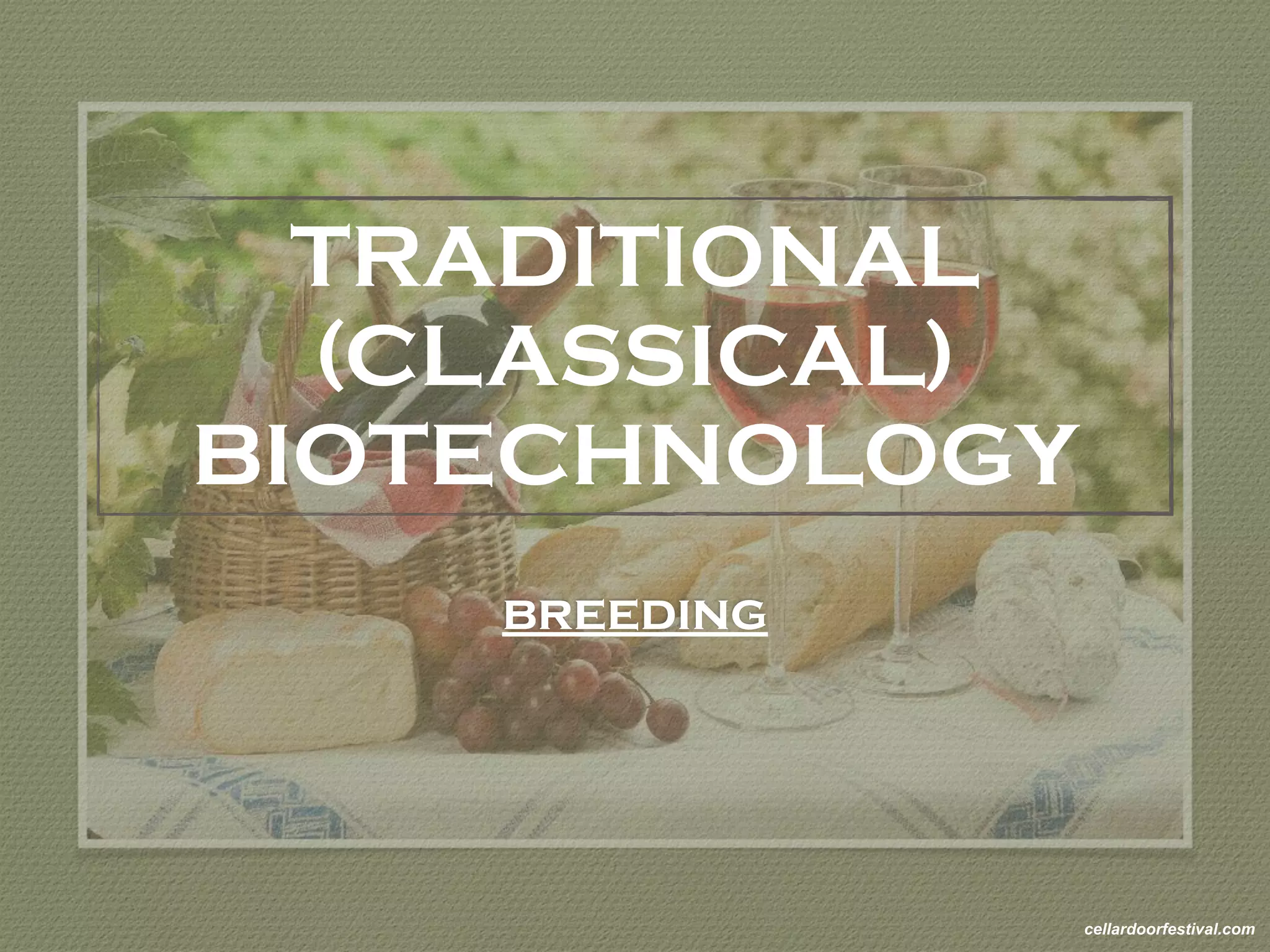 Traditional versus Modern Biotechnology (Exam 2 coverage) | PDF ...