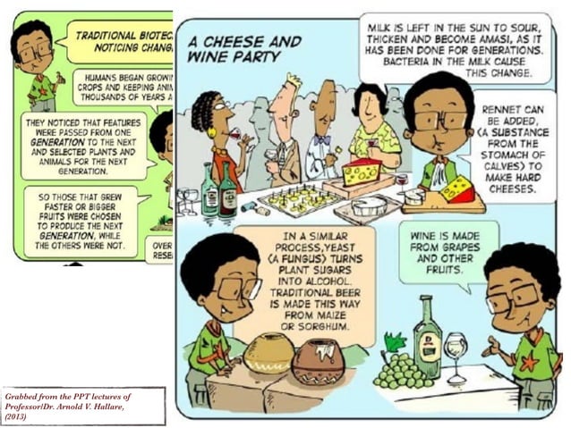 Traditional versus Modern Biotechnology (Exam 2 coverage) | PDF ...