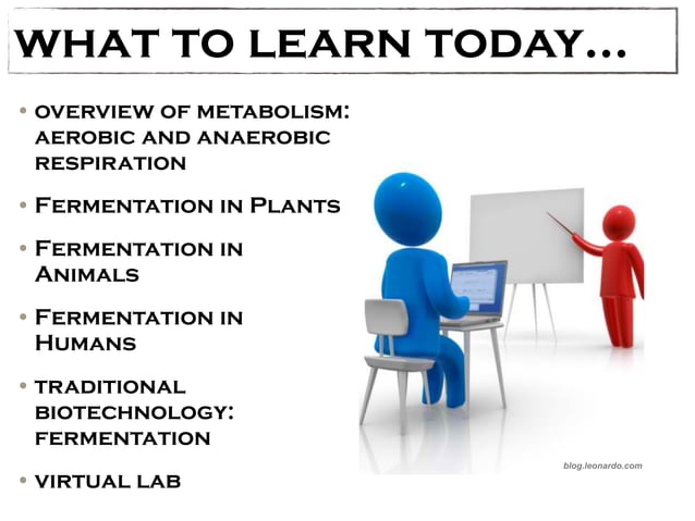 Traditional versus Modern Biotechnology (Exam 2 coverage) | PDF ...
