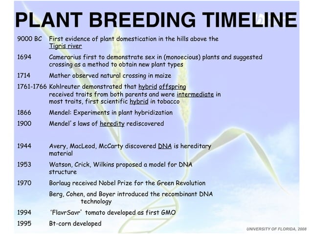 Traditional versus Modern Biotechnology (Exam 2 coverage) | PDF ...