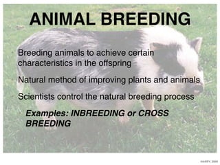 Traditional versus Modern Biotechnology (Exam 2 coverage) | PDF