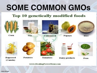 Examples Of Biotechnology In Food