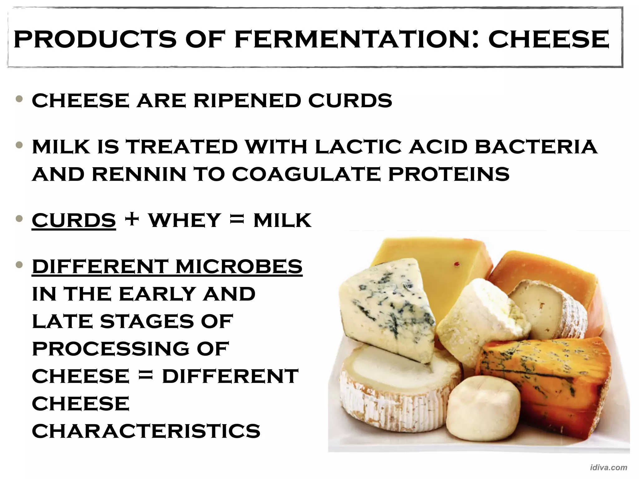 Classical Biotechnology: FERMENTATION | PDF