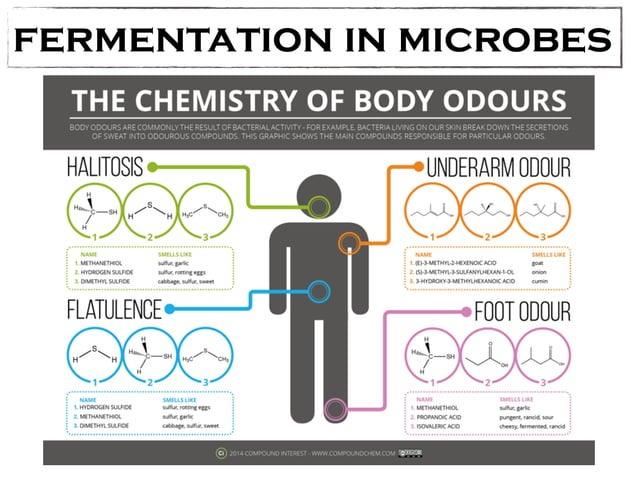 Classical Biotechnology: FERMENTATION | PDF