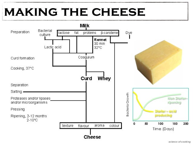 Classical Biotechnology: FERMENTATION