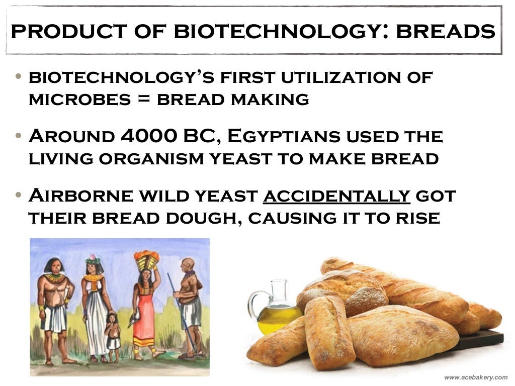 classical-biotechnology-fermentation