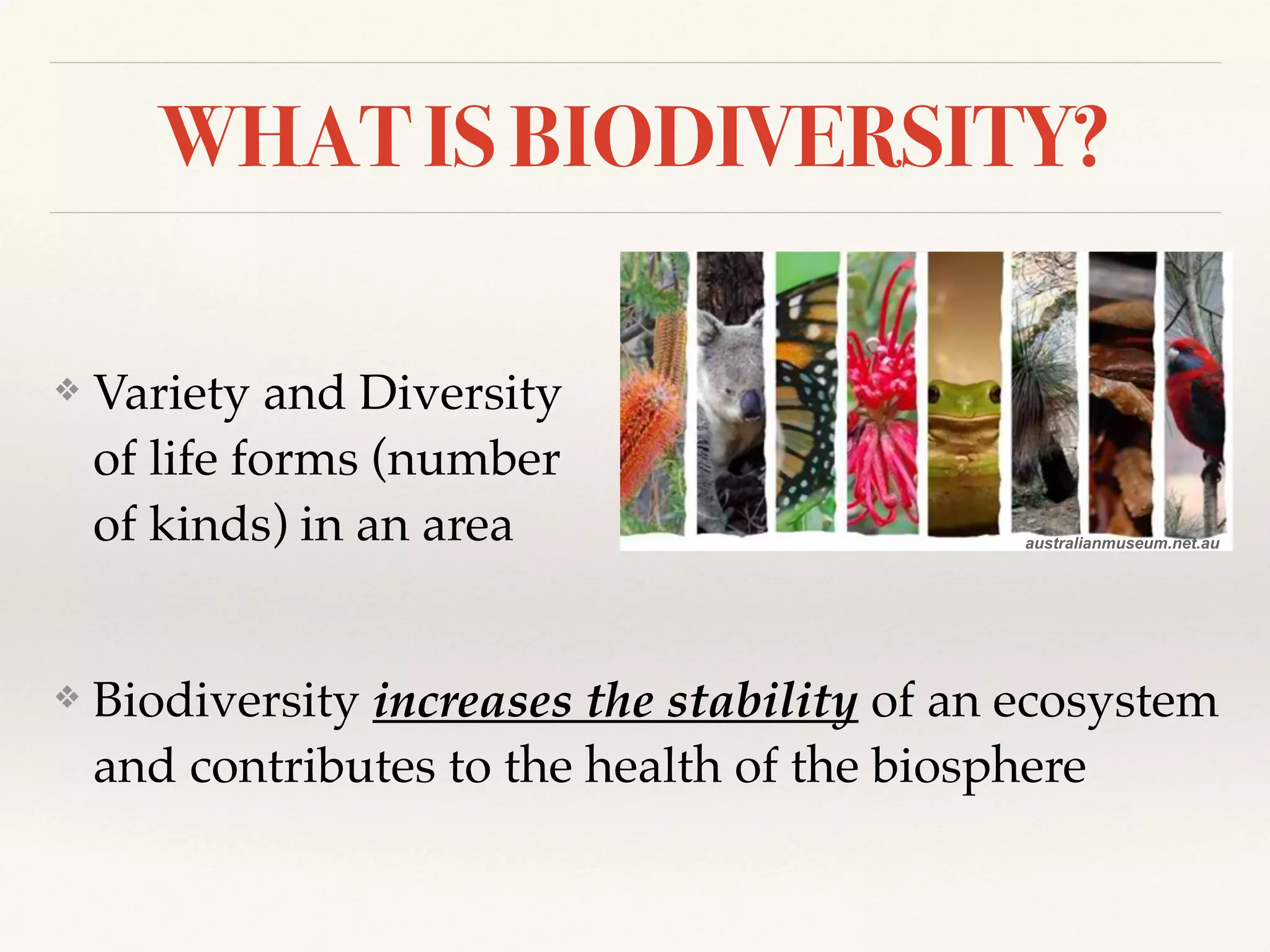 BIODIVERSITY: definition, levels and threats | PDF | Geography | Science