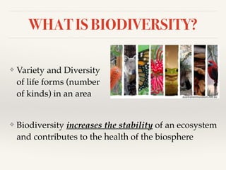 BIODIVERSITY: definition, levels and threats | PDF