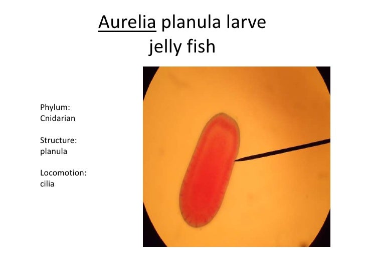 Exam 3 slides powerpoint