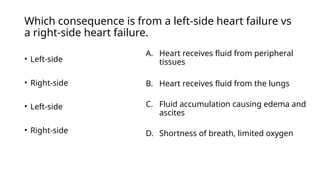 NUTR 222 Exam 4 Review Quiz.pptx Texas A&M | PPTX