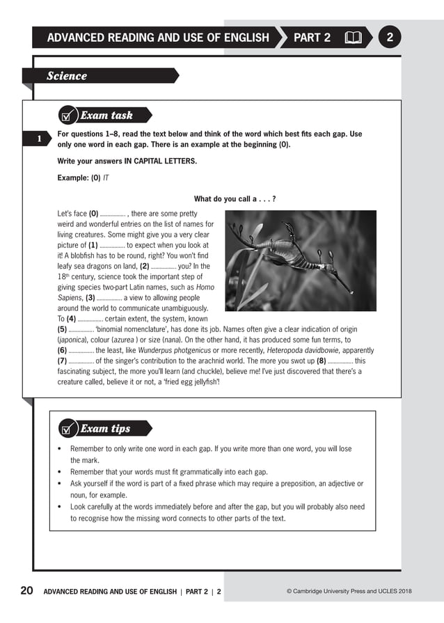 Exam Booster Advanced.pdf | Educational Assessment | Education