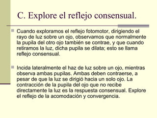 NERVIOS CRANEALES | PPT