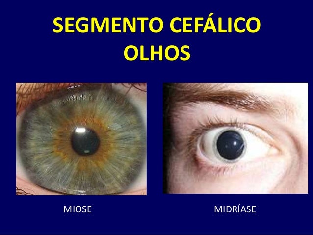 Exame fisico cabeça e pescoço