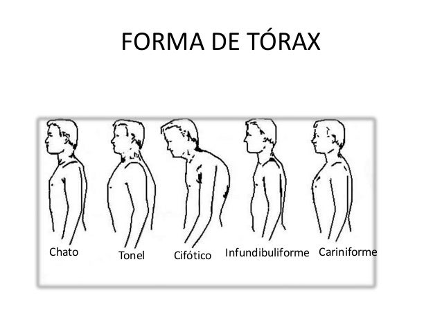 Exame Físico Cardiologia (Davyson Sampaio Braga)