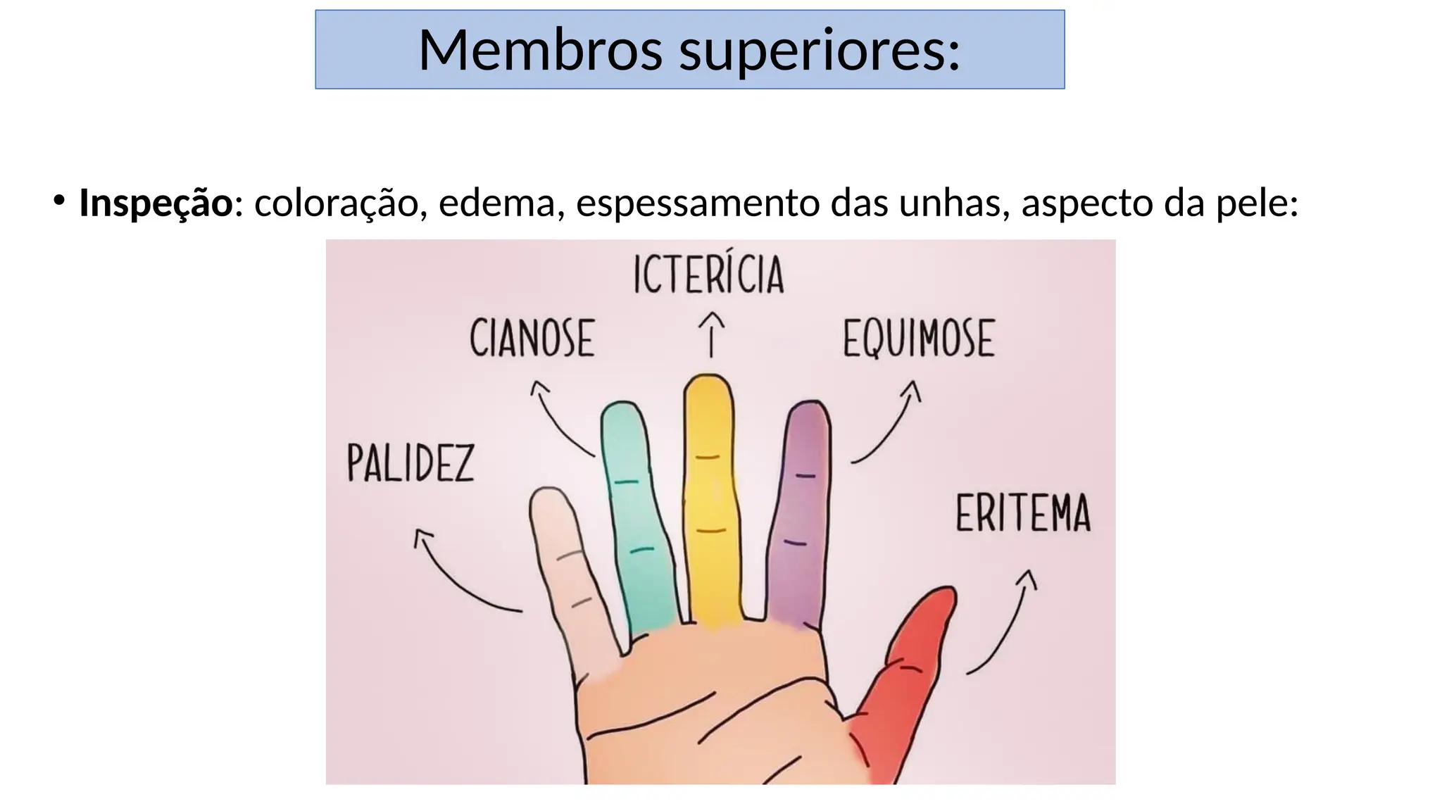 exame físico MMSS MMII enfermagem aula semiologia | PPTX