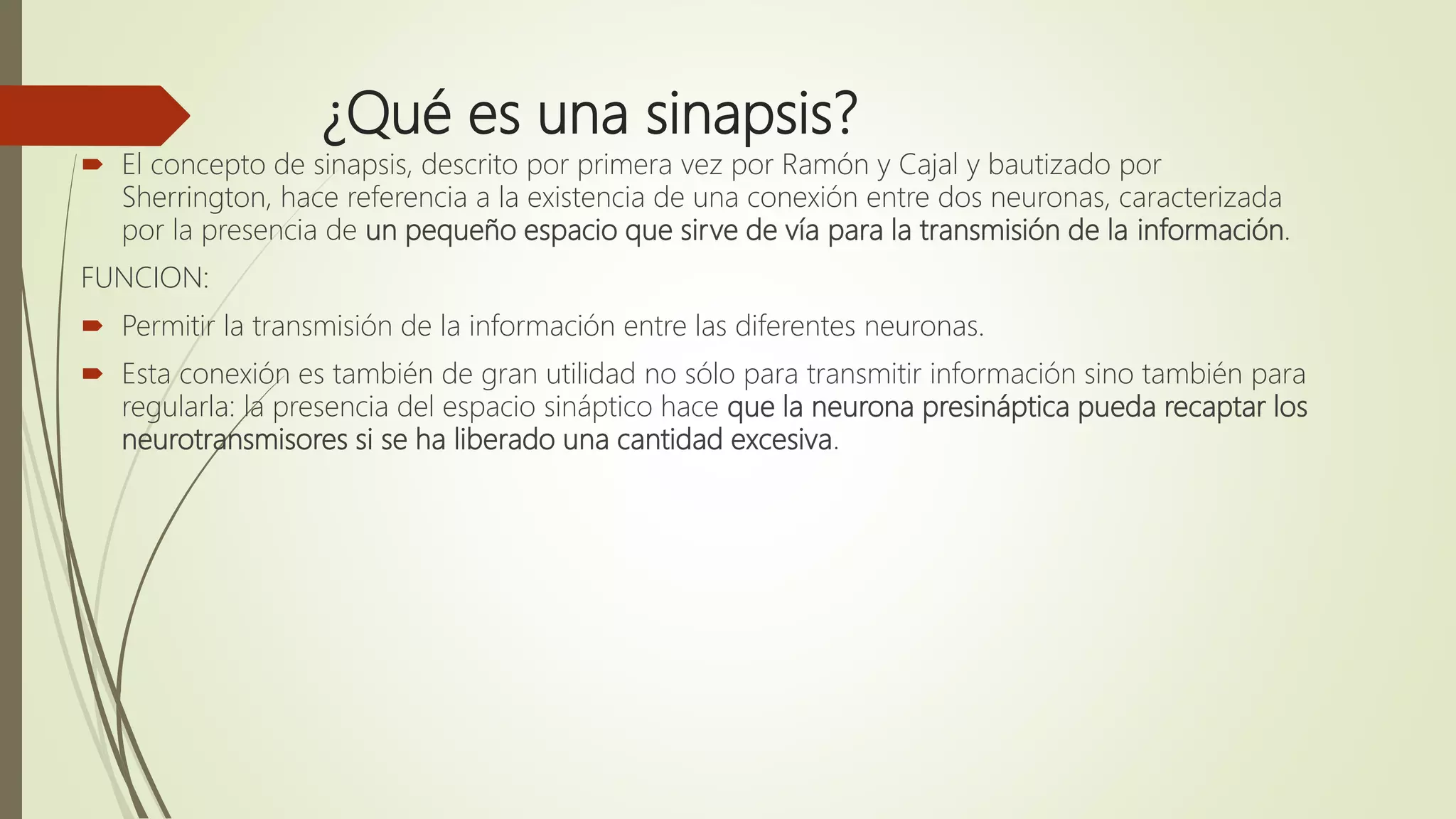 La Sinapsis | PPTX