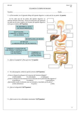Examen cuerpo-humano | PDF