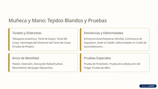 Examen-Fisico-Osteoarticular pptx | PPTX