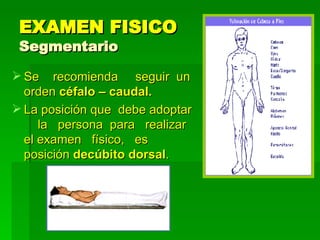 Examen Fisico Segmentario Puc Enfermeria Deals | innoem.eng.psu.ac.th