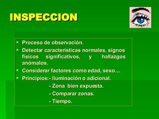 Importancia Del Examen Fisico En Enfermeria Shop | innoem.eng.psu.ac.th