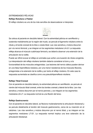 Examen%20neurologico | PDF