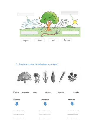 Examen adaptado | DOCX