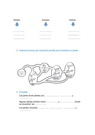 Examen adaptado | DOCX