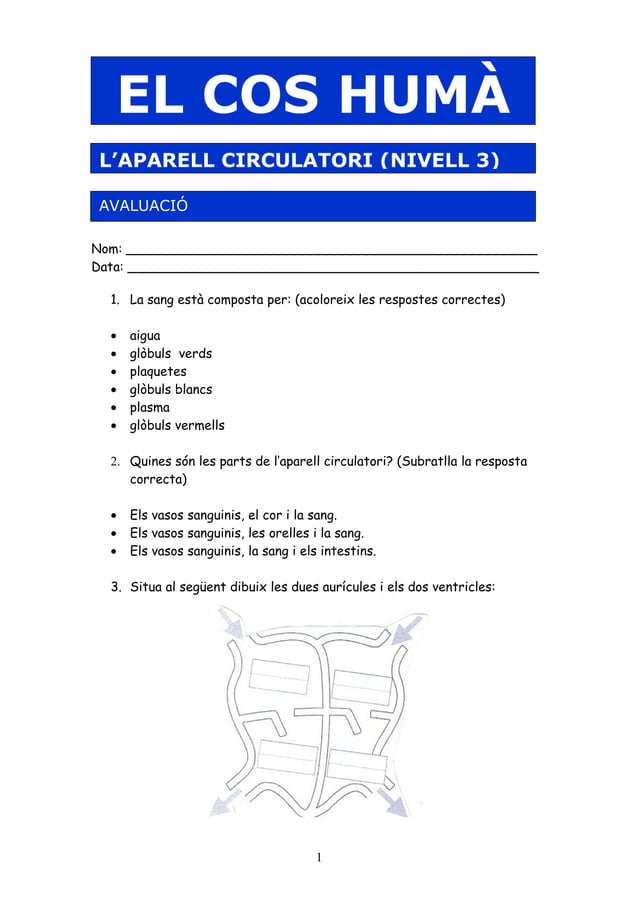 Examen circulatori 3 | DOC