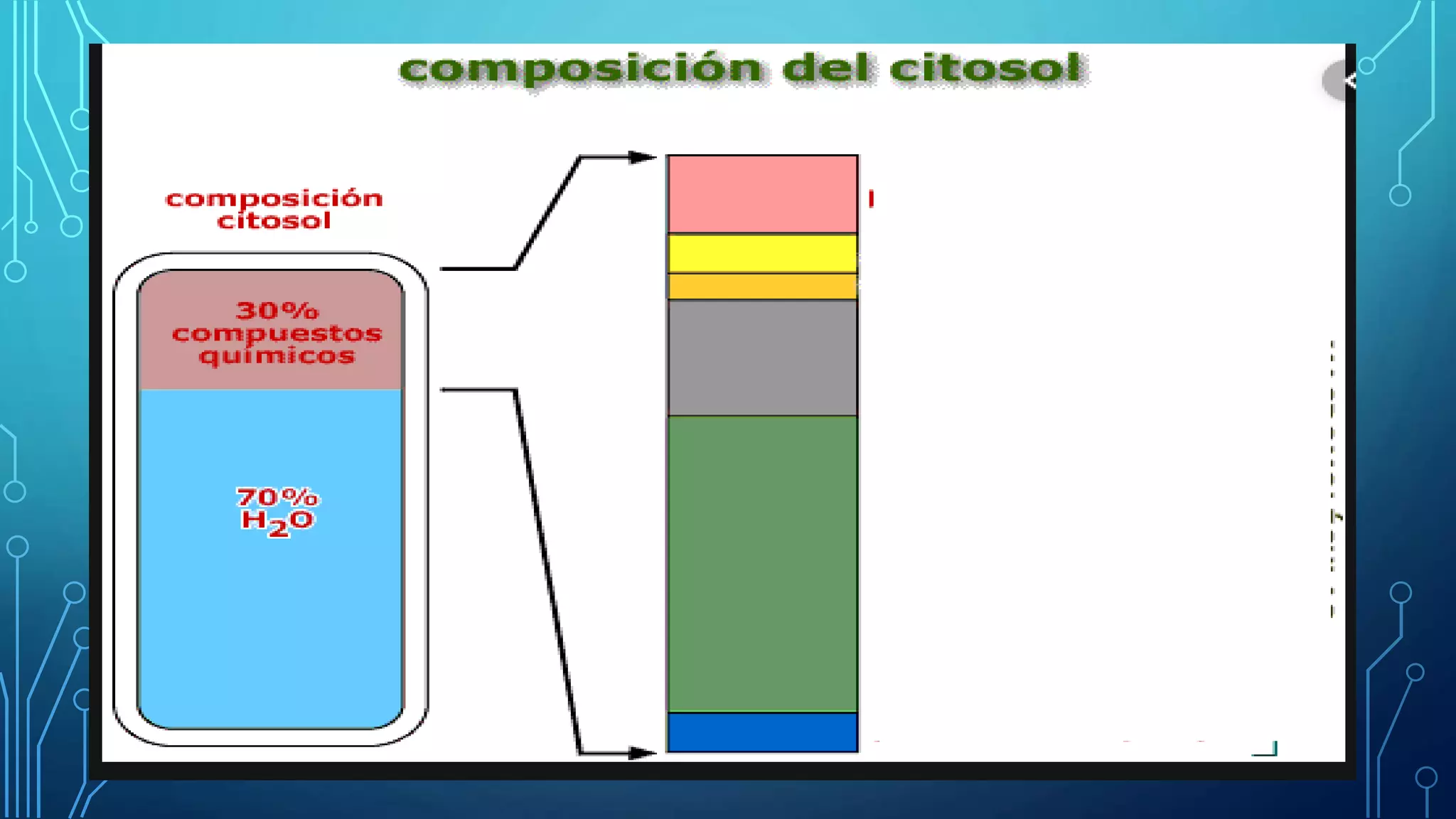 El citosol | PPT